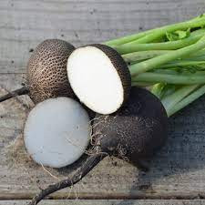 Ridichi Noir Gros Rond d'Hiver (1 kg), seminte ridichi negre de iarna ...