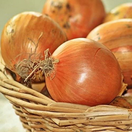 Ceapa Dorata di Parma (Bologna) (500 g), seminte soi tardiv ceapa mare ...