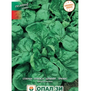 Spanac Winter Giant (100 g) seminte spanac de iarna frunze mari, foarte ...