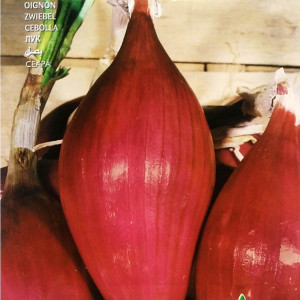 Ceapa Tropea Rossa Lunga (100 g), seminte soi timpuriu ceapa rosie ...