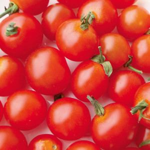 Rosii cherry Ciliegia (0,4 g), seminte soi vechi italian, cele mai ...