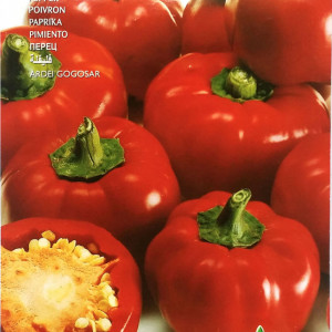Ardei gogosar Topepo Rosso (100 g), seminte gogosar soi semitardiv ...