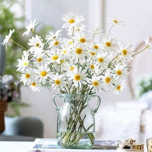 Margarete albe (1 g) seminte Leucanthemum vulgare, flori rustice perene ...