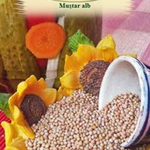 Mustar alb (8 g), seminte planta aromatica medicinala anuala Sinapis ...