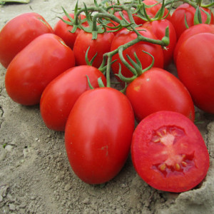Rosii Rio Grande (2 g), seminte tomate pentru bulion, soi semitimpuriu ...