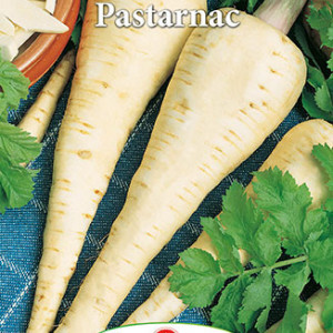 Pastarnac semilung (4 g), seminte soi productiv, radacini albe ...