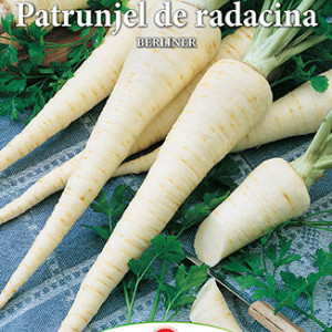 Patrunjel radacina Berliner (5 g), seminte soi semitardiv productiv ...