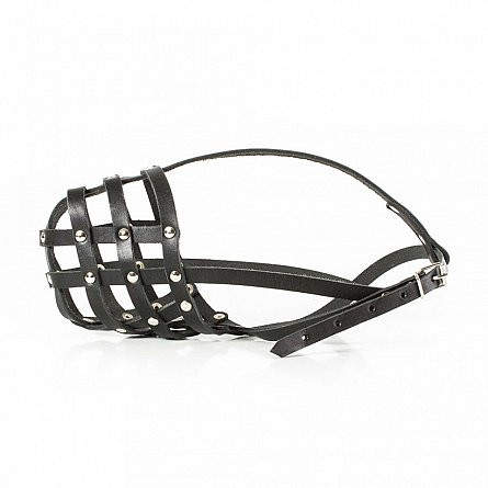 Botnita piele moale - Rottweiler (femela), alte rase cu bot scurt