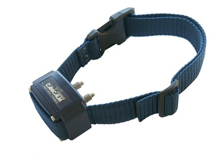 Zgarda electrica antilatrat - Canicalm Premium