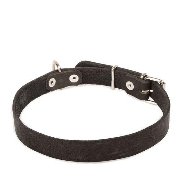Zgarda Julius K9, piele, cu nituri - 16mmx45cm