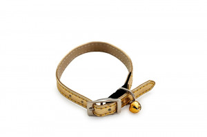 Zgarda pisici - Silver, Gold